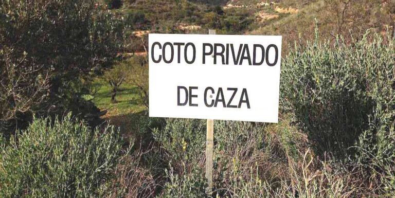 ¿Qué es y cómo funciona un coto de caza? | Caza de Coto