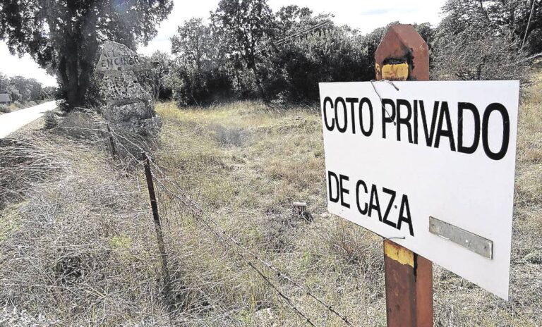¿Cómo buscar un coto de caza? | Caza de Coto
